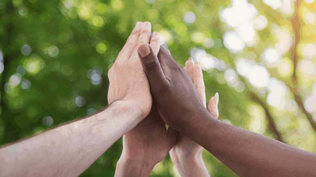 CPHR Nova Scotia & New Brunswick Approves CCRW's Disability Confidence ...